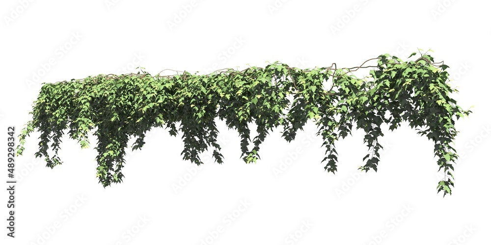 Climbing plants creepers isolated on white background 3d illustration ...