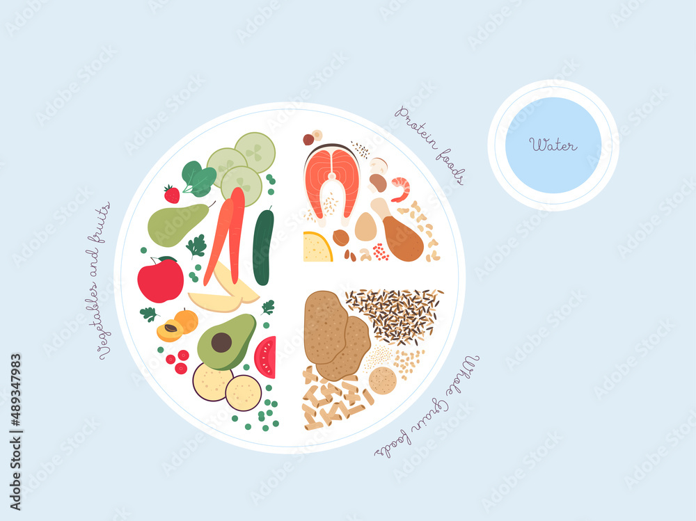Healthy food plate guide concept. Vector flat modern illustration ...