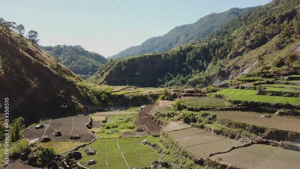 green vegetable garden paddy farms in mountainous valley village in ...