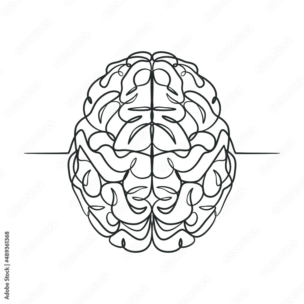 Continuous line drawing of a human brain Stock Vector | Adobe Stock