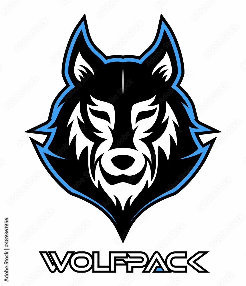 Blue and white color vector wolf head logo design, isolated on white ...