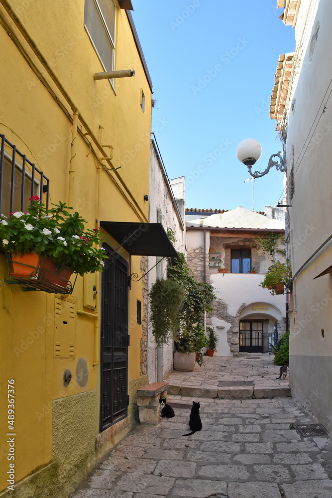 Poster The Italian village of Venosa. – Wall Art | UkPosters