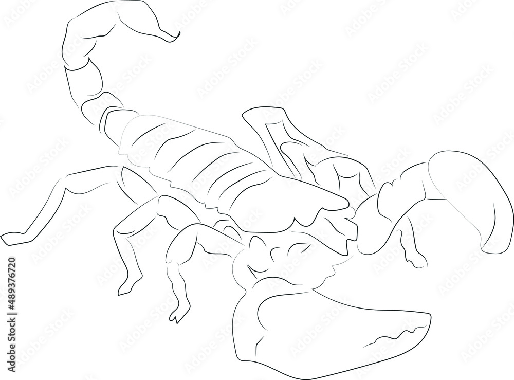 Stylized vector drawing drawn with strokes of lines of different ...