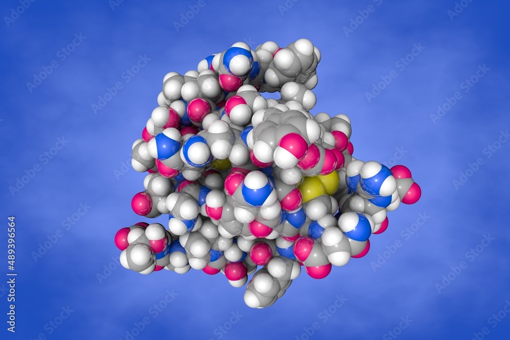 Molecular model of human insulin. Atoms are shown as spheres with ...
