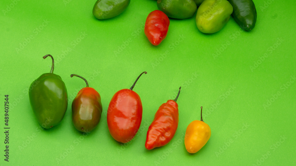 Locoto / Rocoto, capsicum pubescens es una especie de planta herbácea ...