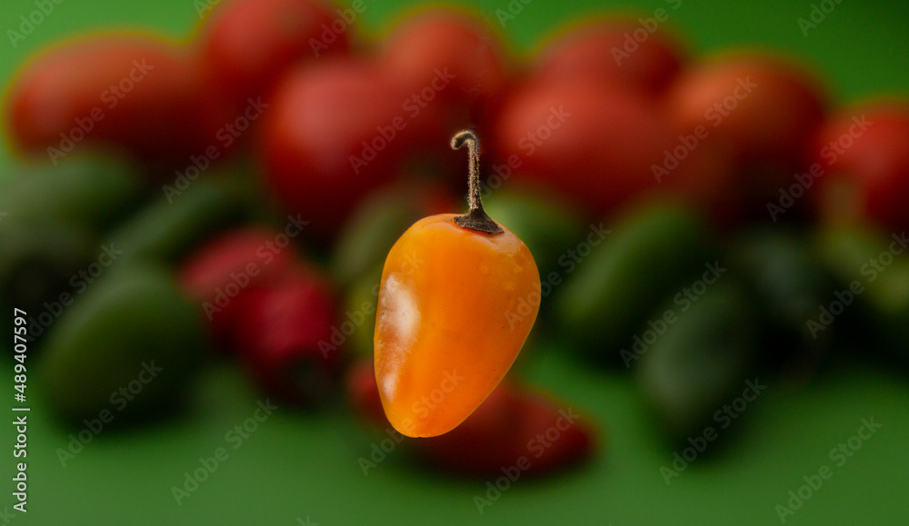 Locoto / Rocoto, capsicum pubescens es una especie de planta herbácea ...