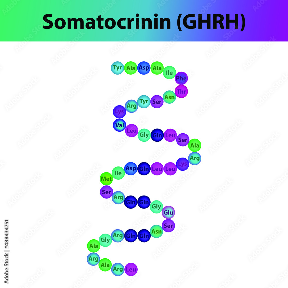 Somatocrinin GHRH hormone peptide primary structure. Biomolecule ...