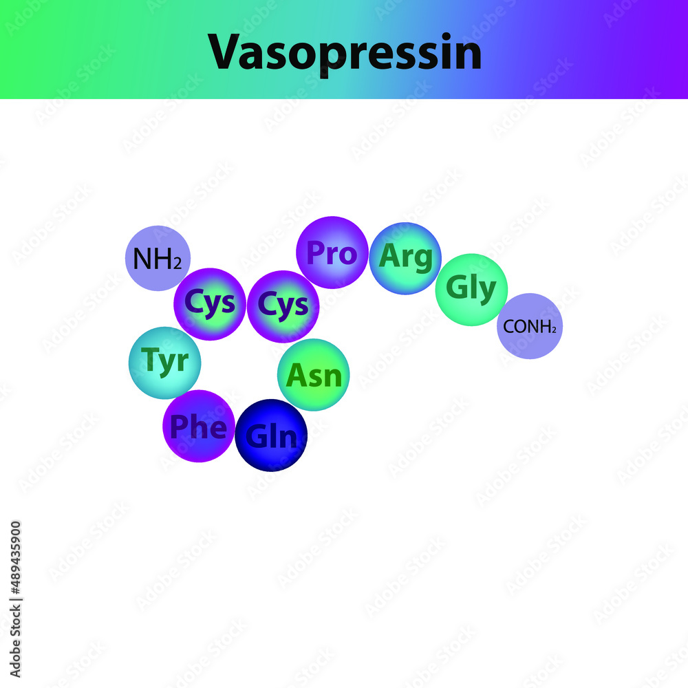 Vecteur Stock Vasopressin ADH hormone peptide primary structure ...