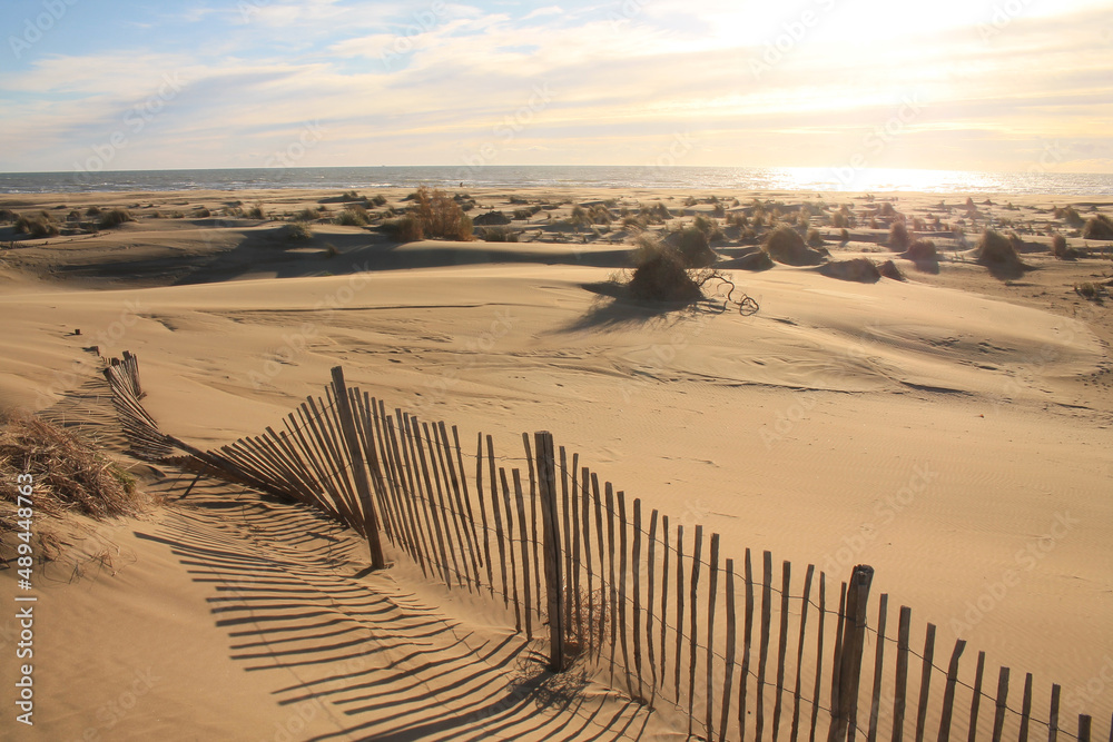 The famous Espiguette beach, a beautiful sandy beach in Camargue ...