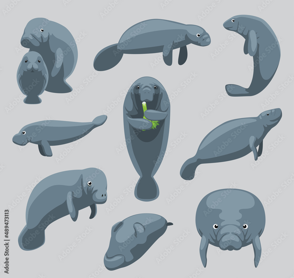 Cute Dugong Drawing