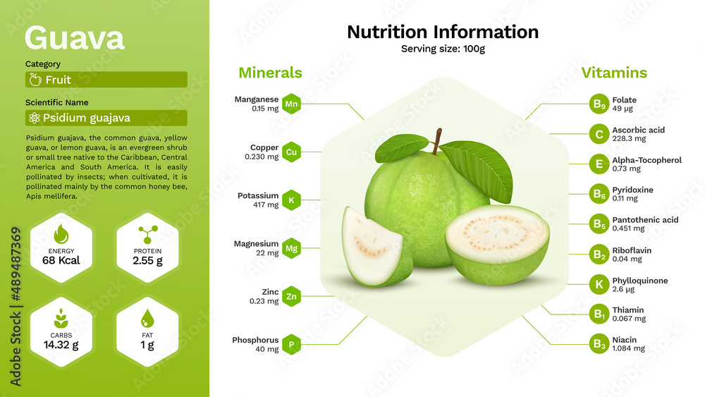 Guava Fruit and its nutritional properties - Infographics Design Stock ...