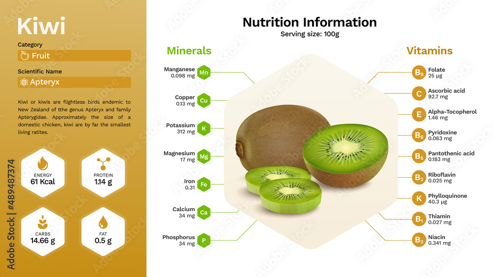 Kiwi Fruit and its nutritional properties - Infographics Design Stock ...