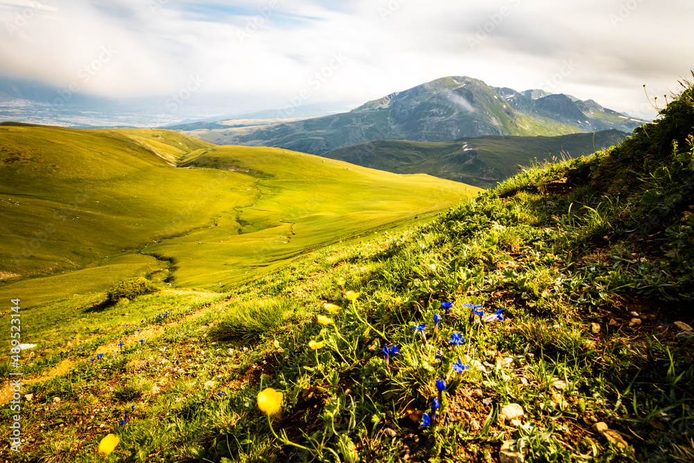 Sar planina is a mountain range located on the border of Northern ...