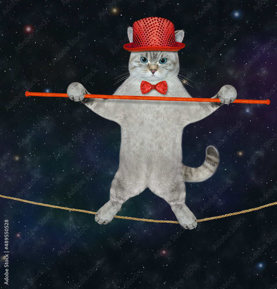An ashen cat acrobat with a pole is walking on the tightrope at night ...