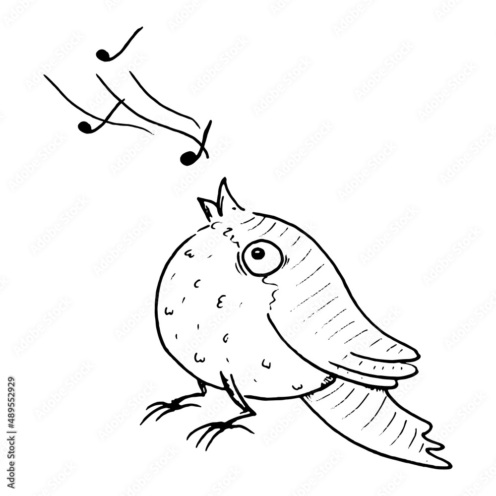 Bird cartoon sketch hand drawn. Vector illustration of a singing bird ...
