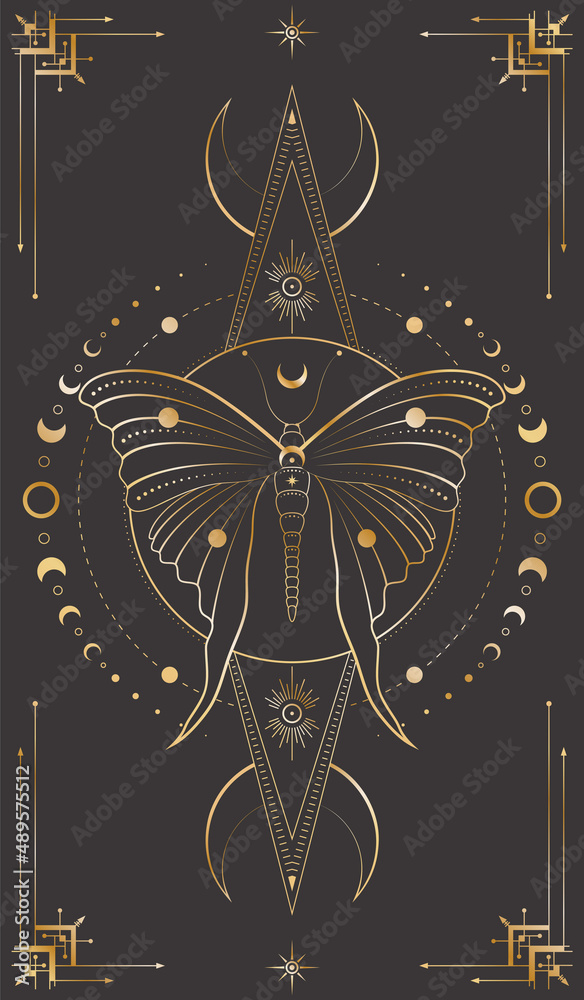 Vector mystic celestial background with golden outline insect, frame ...