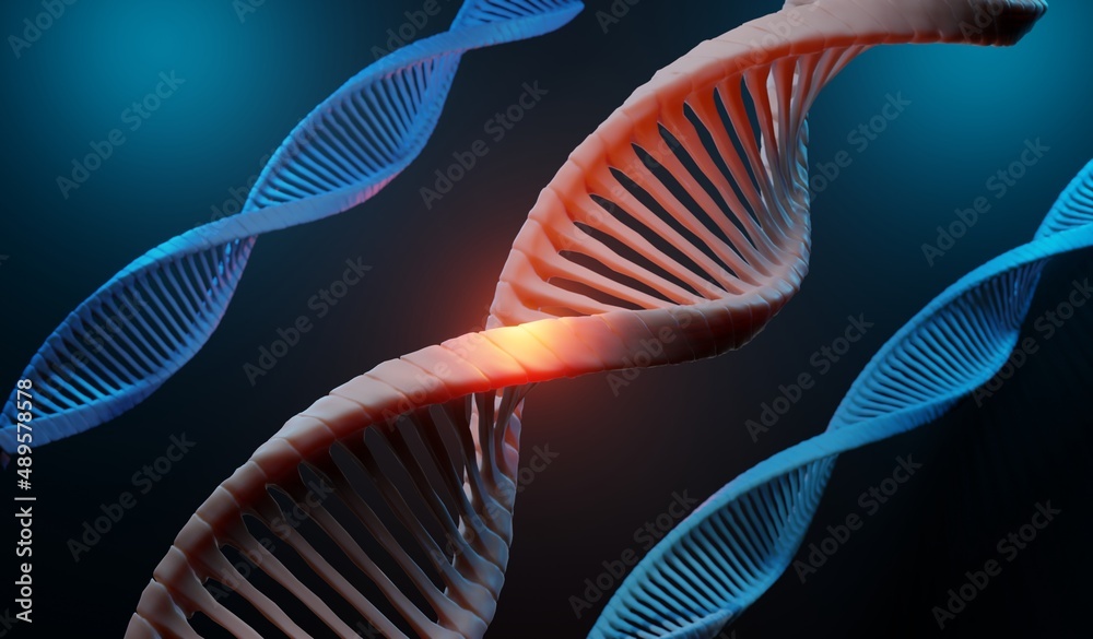 3d render Helix complementary strand of DNA of RNA. Sequences genetic ...