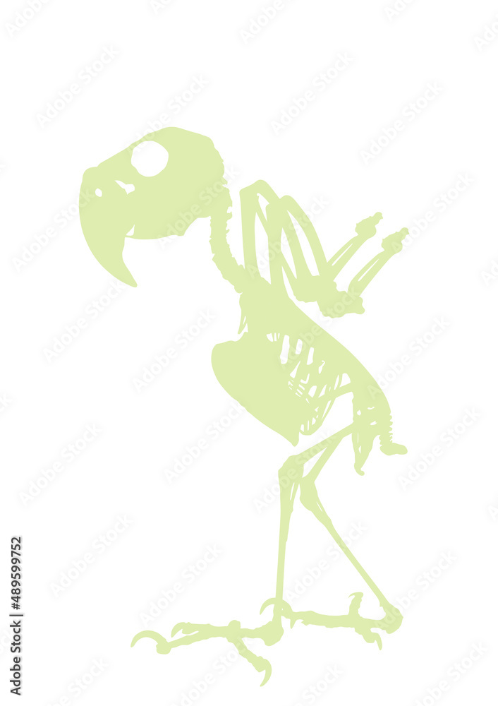 Palm Cockatoo Parrot skeleton vector silhouette illustration isolated ...