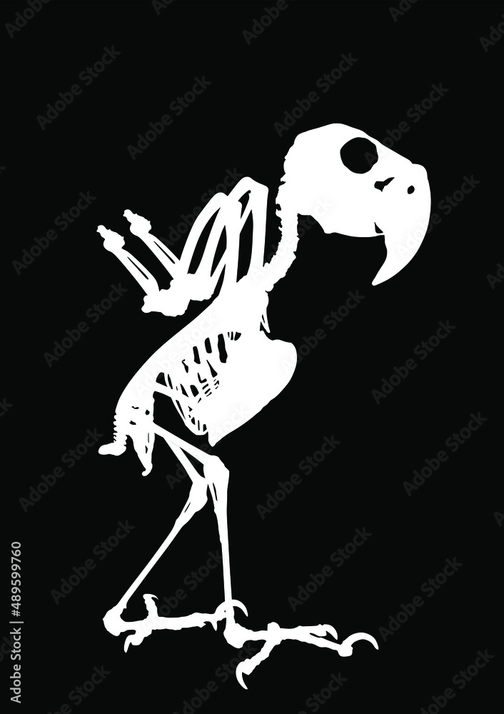 Palm Cockatoo Parrot skeleton vector silhouette illustration isolated ...