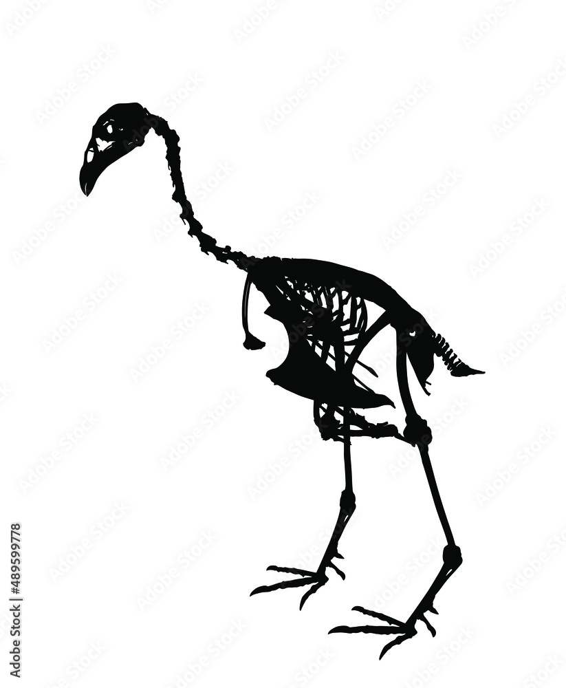 Sparrow hawk vector silhouette illustration isolated on white ...