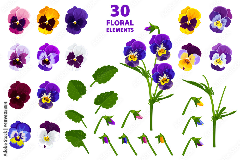 Pansy Leaves