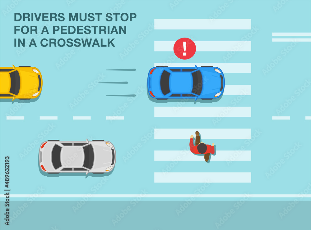 Safety driving and traffic regulation rules. All drivers must stop for ...