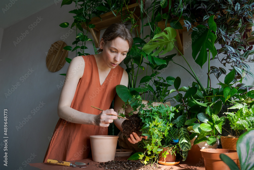 Female gardener wearing orange dress at home transplanting plants into ...