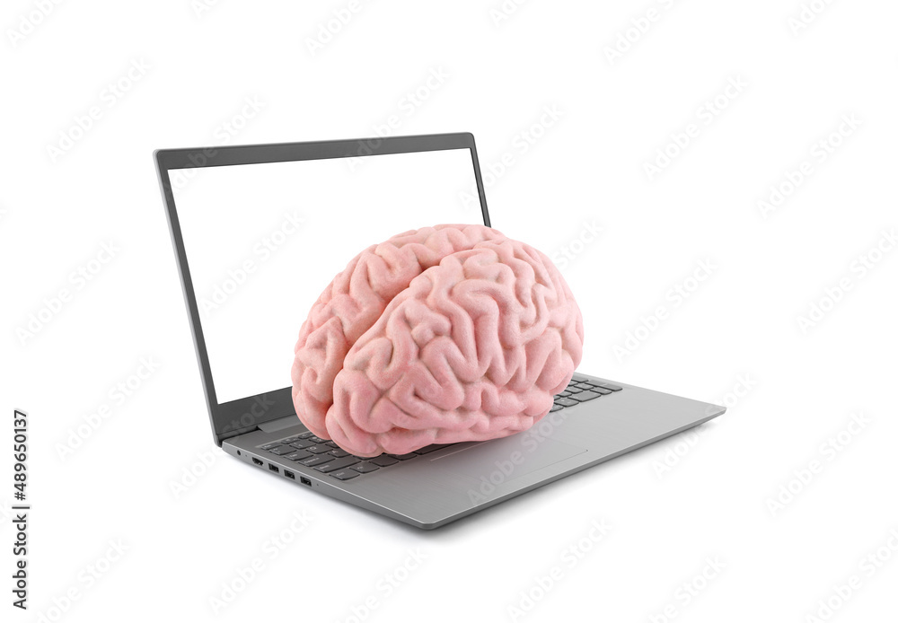 Human brain on laptop isolated on white background Stock Photo | Adobe ...