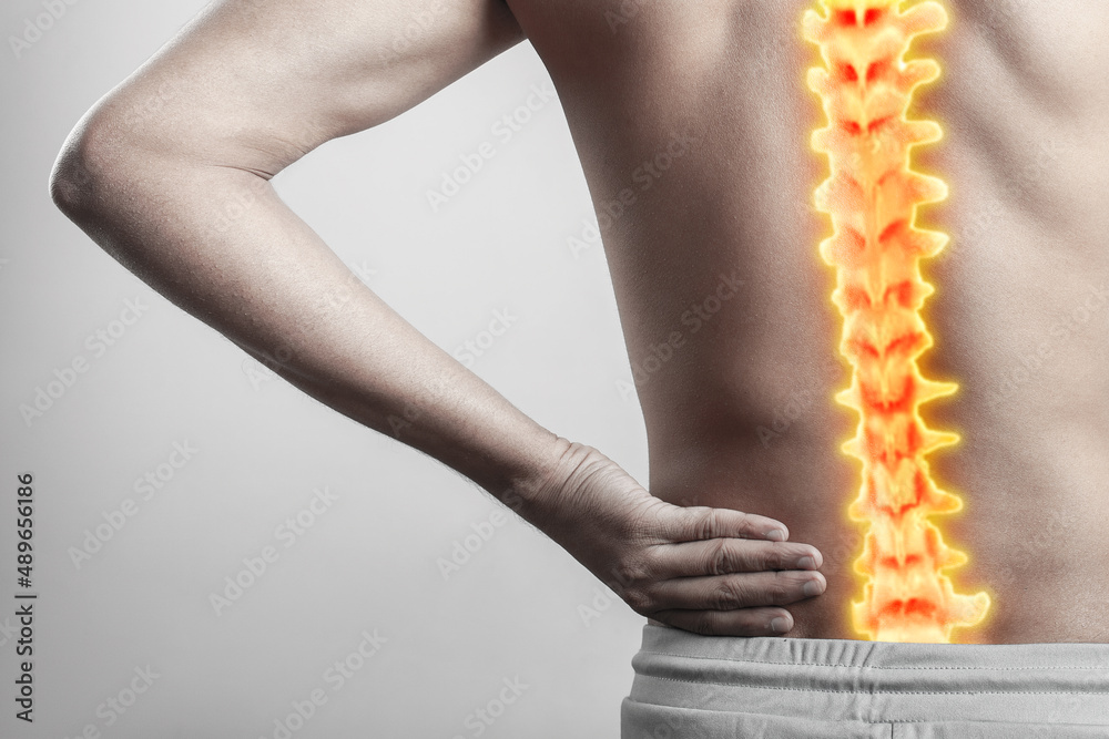 spinal cord anatomy of a human body, cgi spine pain Stock Photo | Adobe ...