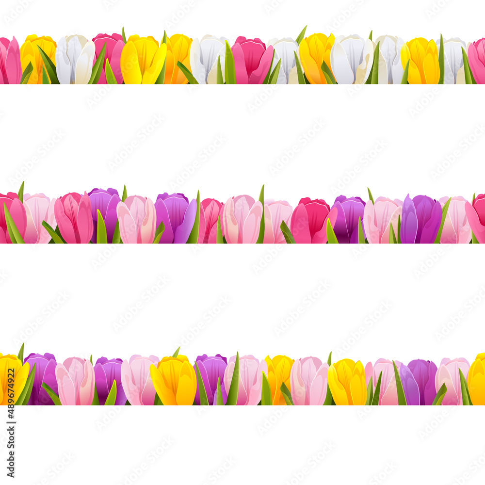 Vector Tulips Borders Stock Vector | Adobe Stock