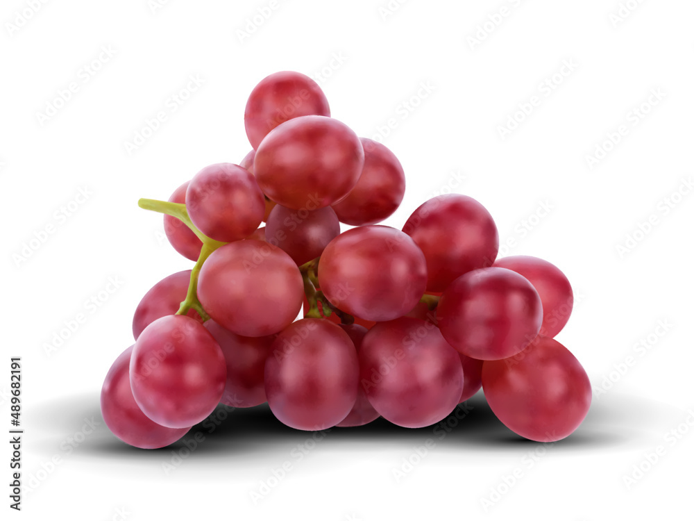 Red grapes vector illustration 素材庫向量圖 | Adobe Stock