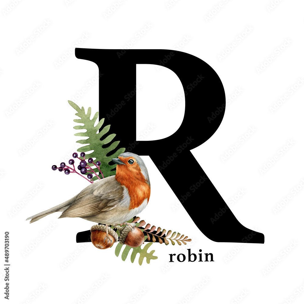 Capital letter R with robin bird. Alphabet forest decoration ...