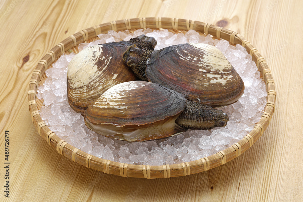 Mirugai(Japanese horse clam) is a high class ingredient used in sushi ...