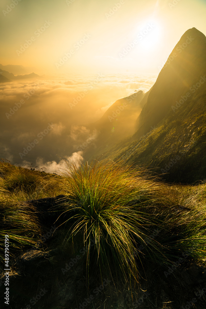 Breath-taking summer sunrise view over the mountains with fog, Kerala ...