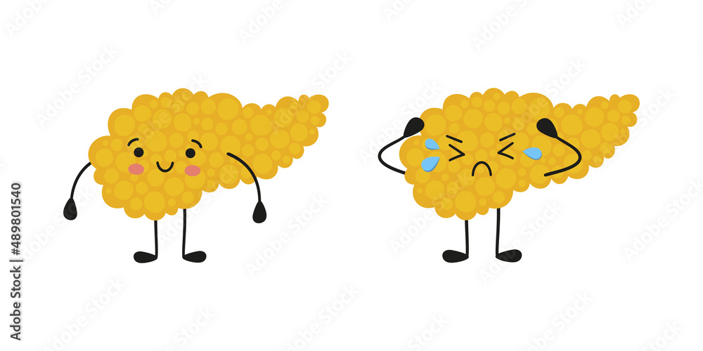 Happy and crying kawaii character of pancreas. Drawing of health and ...