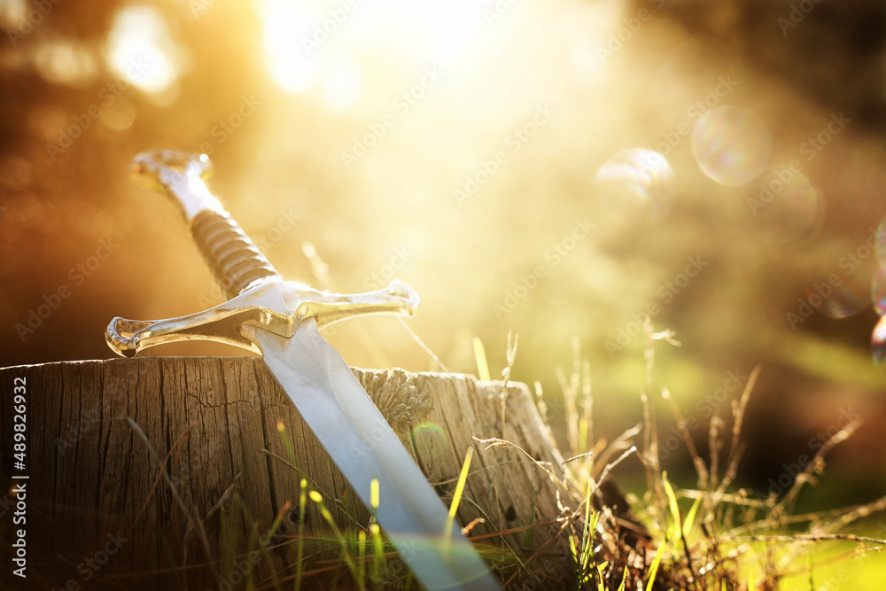mysterious and magical photo of silver sword in the England woods and ...
