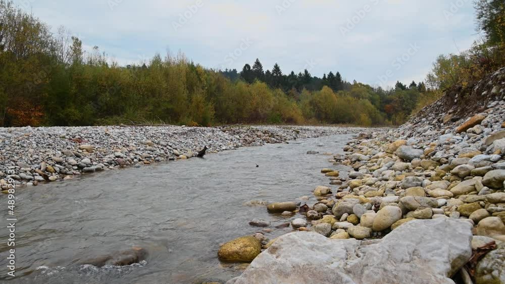 Small stream flowing downstream in pristine nature. River bank is ...