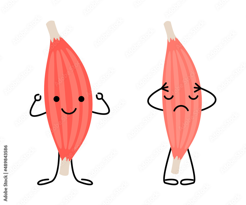 Healthy happy muscle and weak sad pain muscle character. Strong and ...