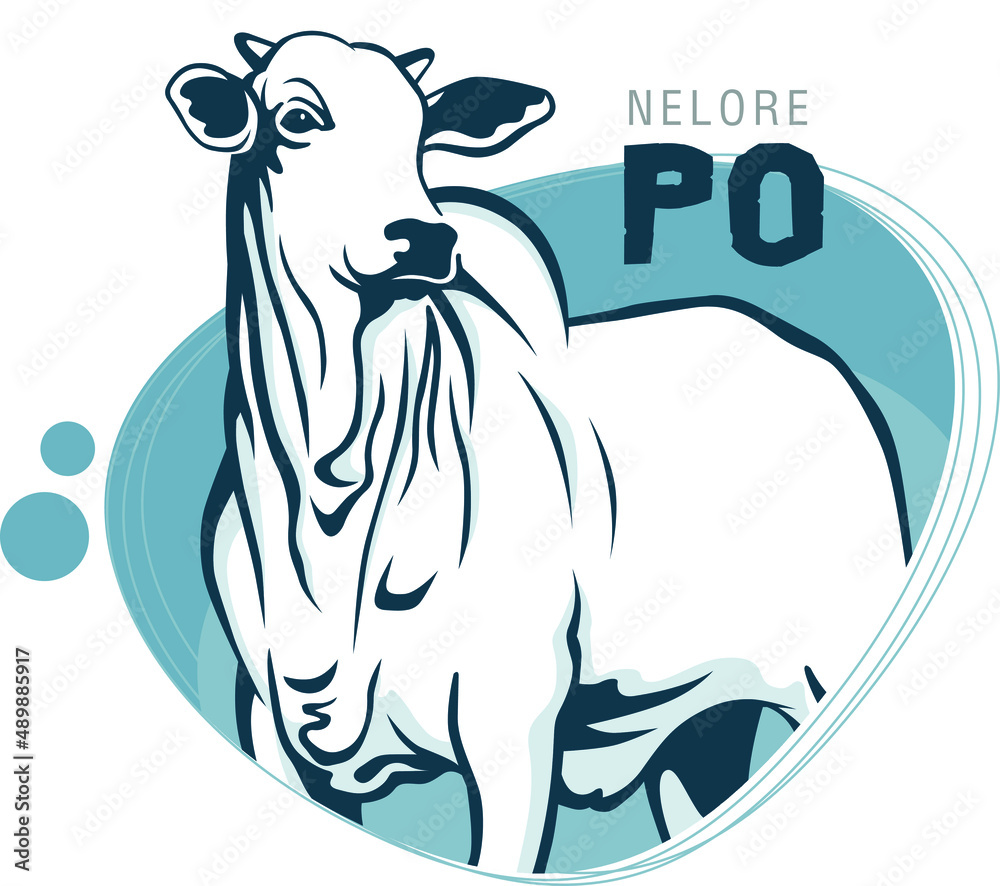 Vetor de boi po do Stock | Adobe Stock