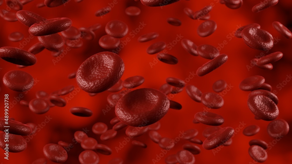 red blood cells in vein Stock Illustration | Adobe Stock