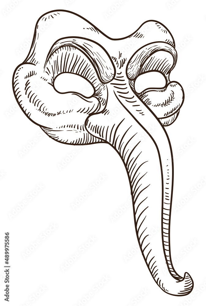 Drawing of a Venetian Zanni mask with its long nose, Vector ...