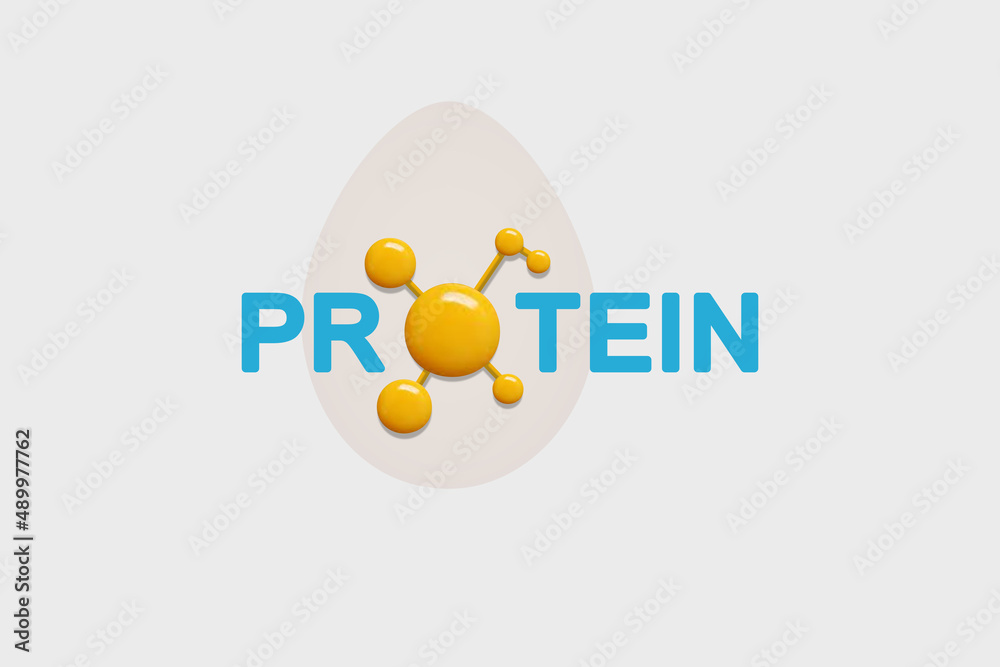 Vector is the word protein from amino acids to complex protein ...