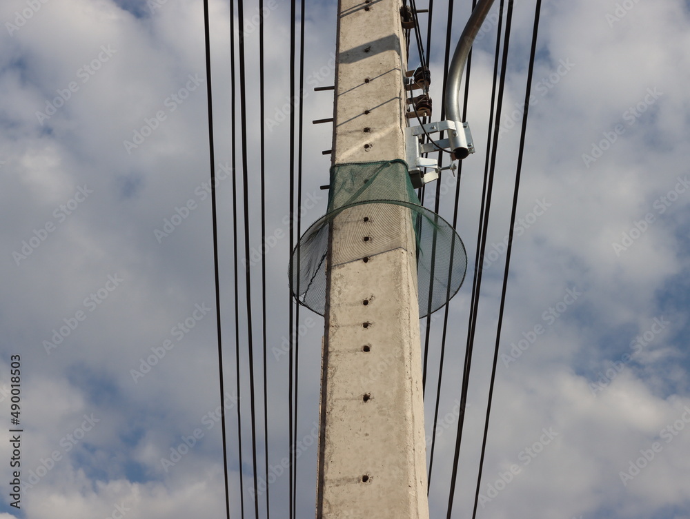 Foto de Plastic netting panels are wrapped around electric poles to ...