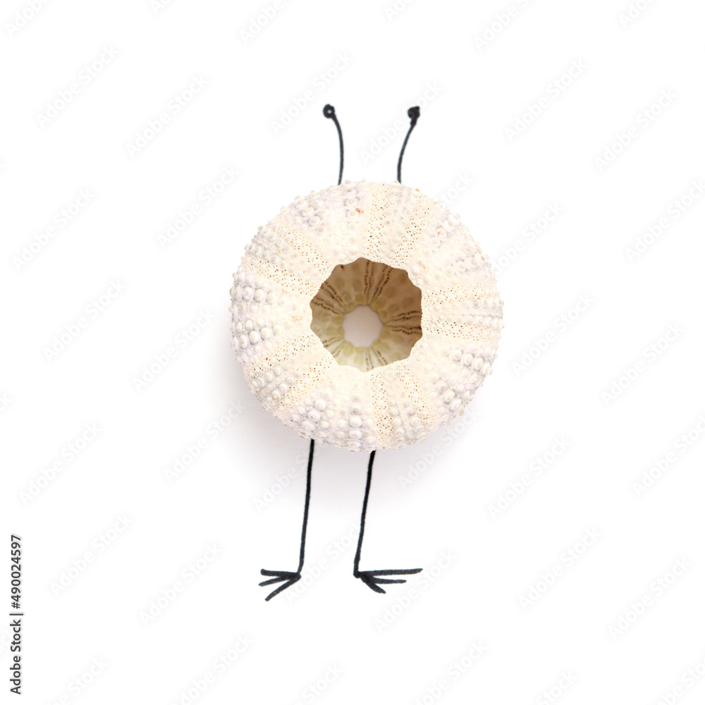 amusing little aliens made of sea urchin skeleton, a with sketchily ...