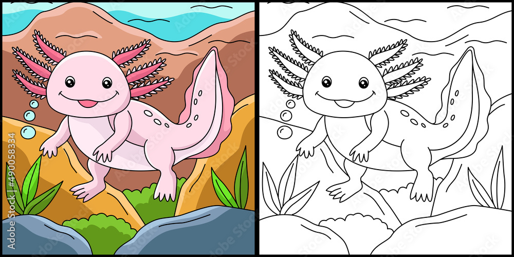 Axolotl Coloring Page Colored Illustration Stock Vector | Adobe Stock