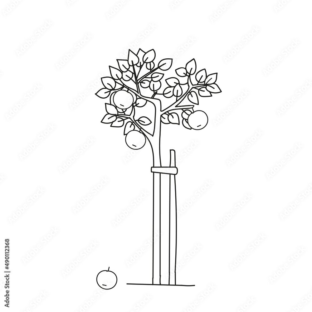 Black outline hand drawing vector illustration of an apple tree ...