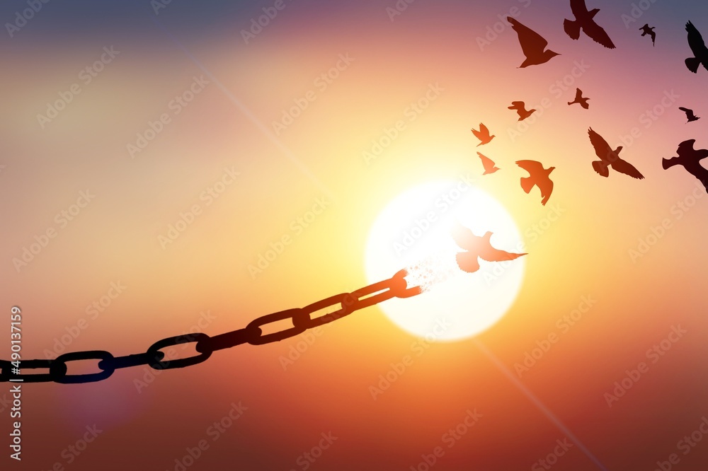 Concept of Freedom with chains breaking and free birds that flies away ...