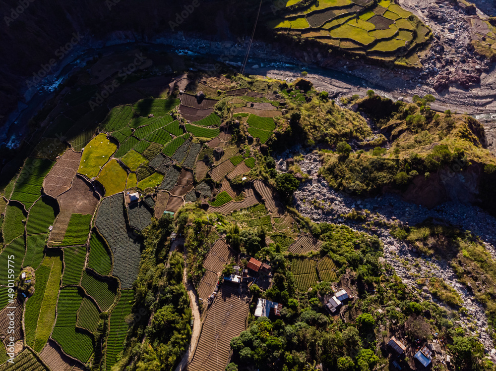 Foto de Bird's eye view of farm lands rice paddies vegetable gardens in ...
