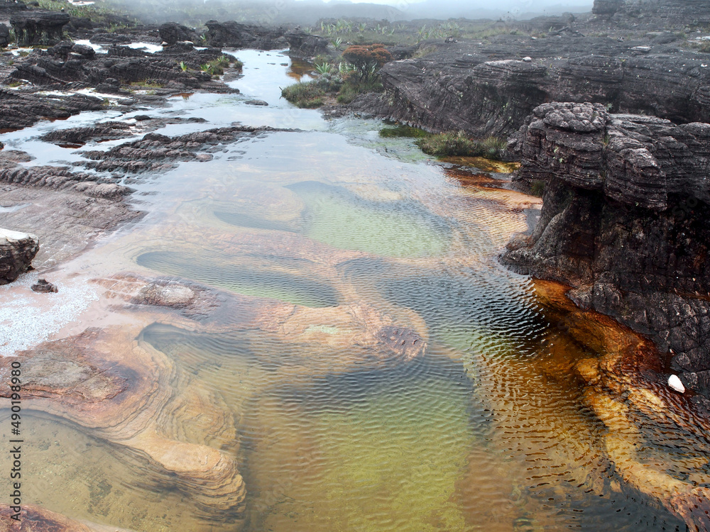 Mount Roraima Pools