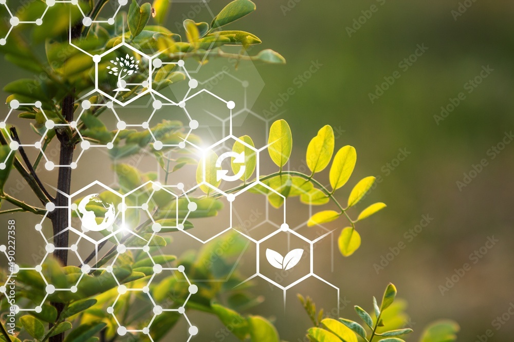 Plants green background with biochemistry structure. Stock Photo ...